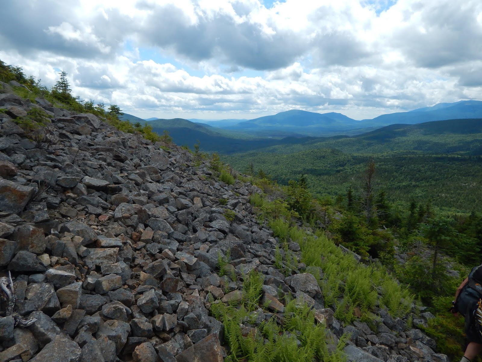 EvanHikes: An Overlooked Summit: Black Cat Mountain