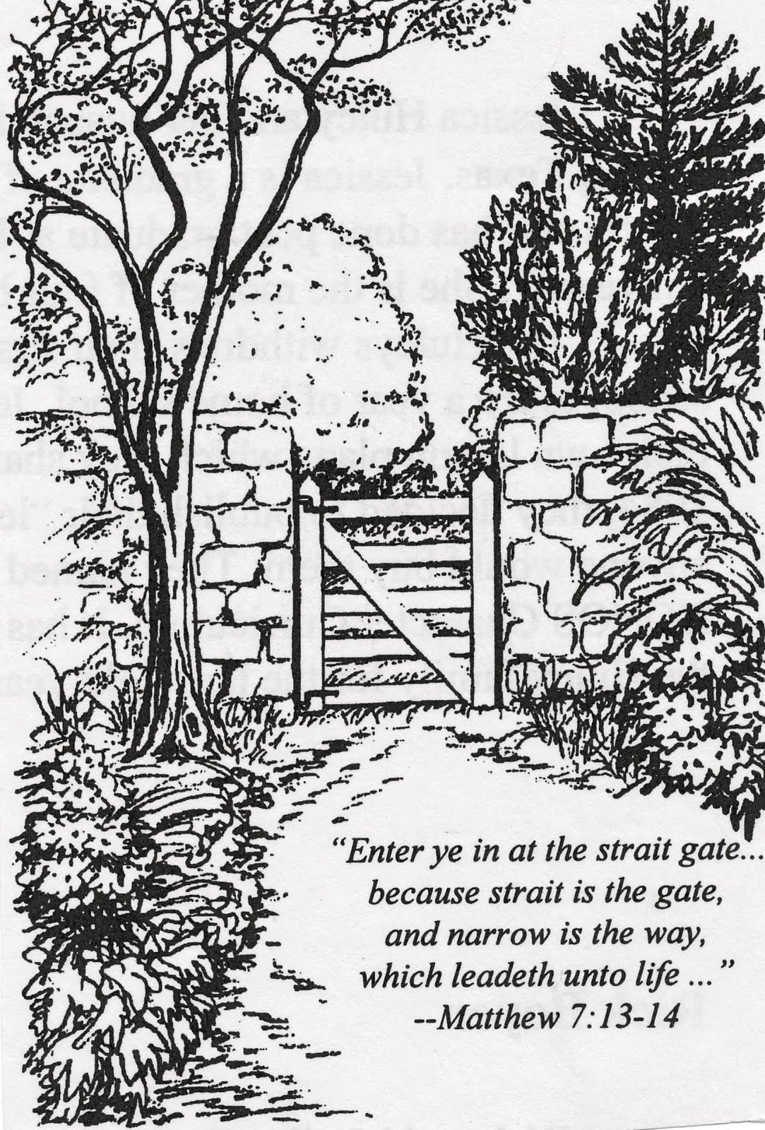 Encouragements From the Piper's Wife: Enter Through the Narrow Gate