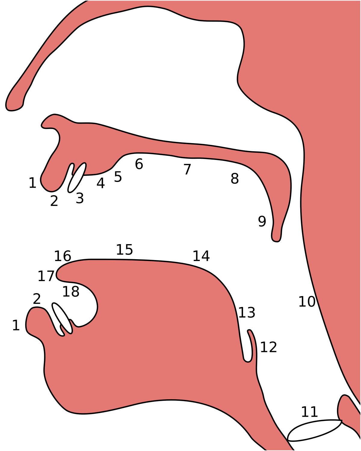 ALH 203: Hausa Phonology 1 (3 CU) (Manner of Articulation and State of ...