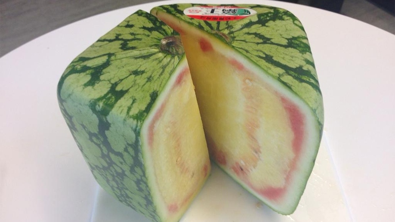 IT'S LAND OF THE RISING SUN: Square Watermelons