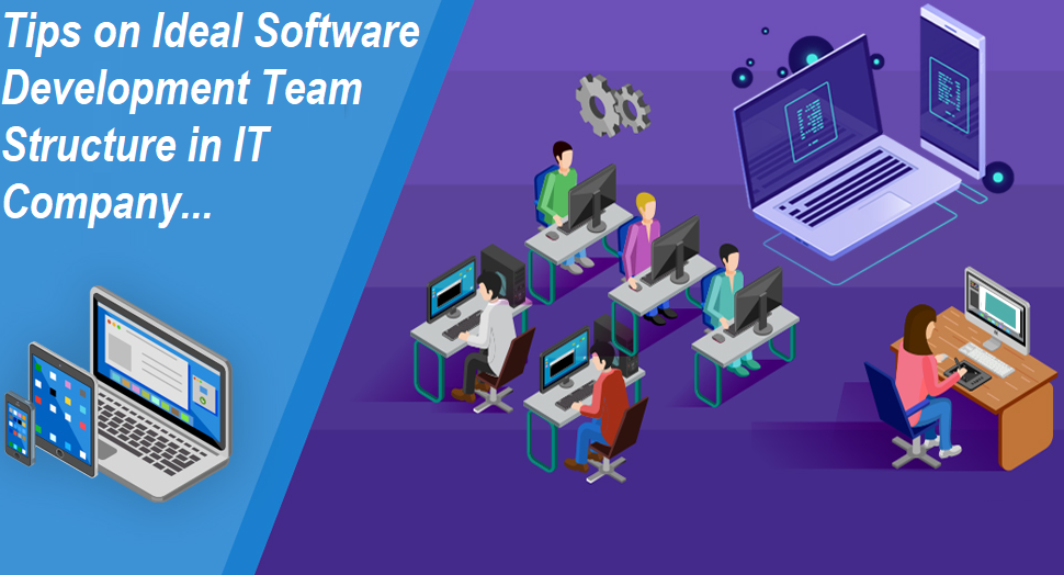 Tips on Ideal Software Development Team Structure in IT Company
