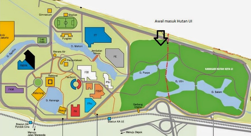 ~ Helmi - Salman - Azzam ~: Gowes ke Track Hutan UI