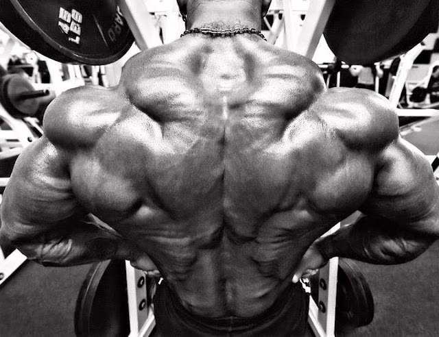 mr olympia 2012, mr olympia 2012 predictions, mr olympia 2012 winner ...