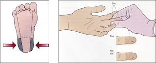 Teknik Pengambilan Darah (Flebotomi)