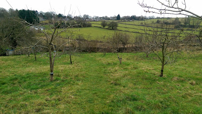 Bradwell Community Orchard