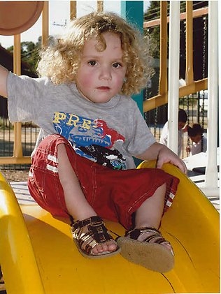 Sudden, Random, Unprovoked & Violent: The AVA on Dangerous Dogs