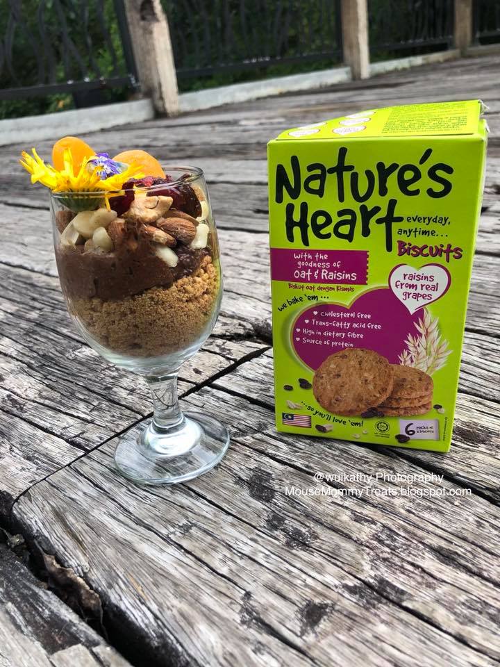 How To Make An Irresistible (Edible!) Terrarium At Home? - Mouse Mommy ...