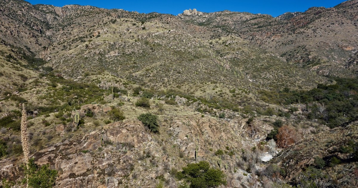 Earthline: The American West: Box Camp Trail, Pusch Ridge Wilderness