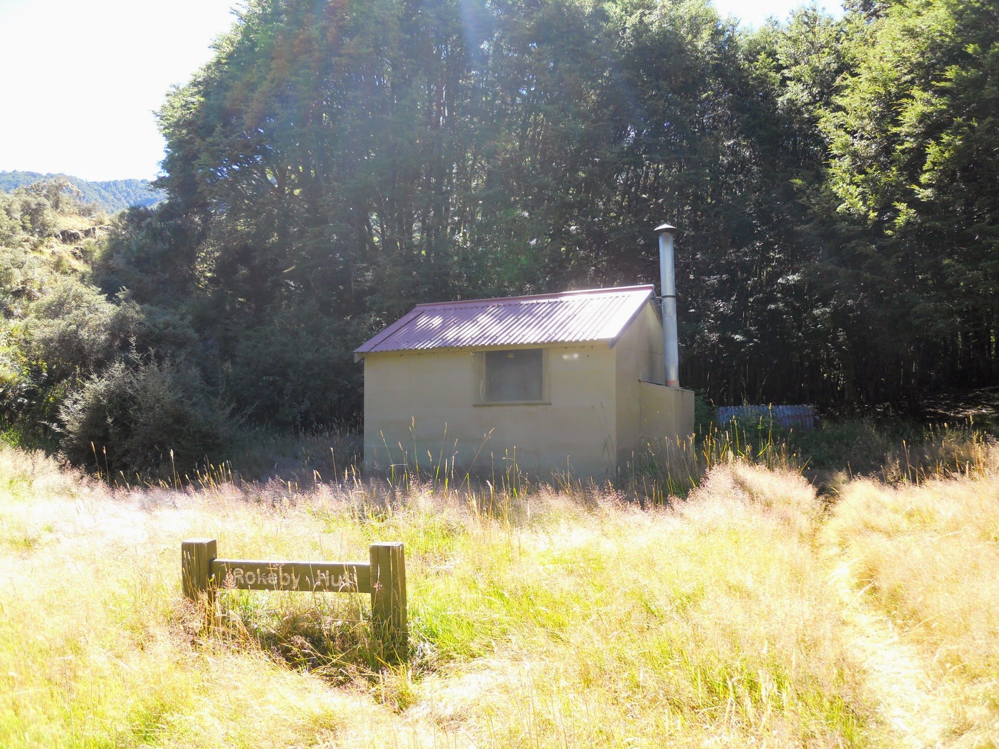 Tramping in the New Zealand backcountry: NZ Bush Adventures ...
