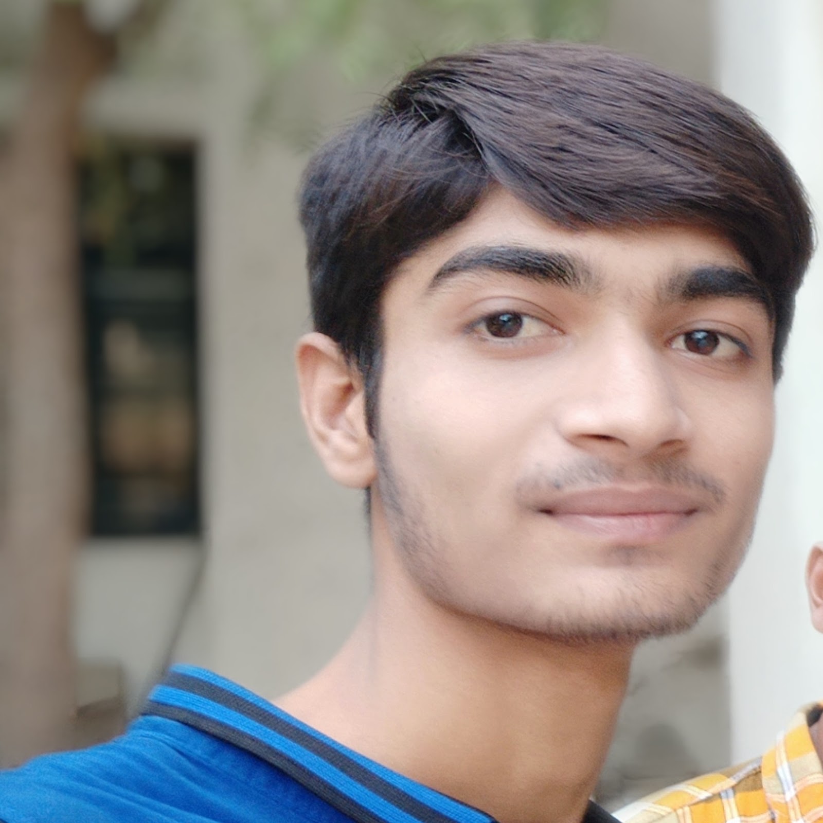 BDC ANATOMY VOLUME 3 HEAD,NECK AND BRAIN PDF BOOK 4 TH EDITION