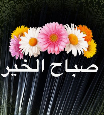 Good night images in Arabic