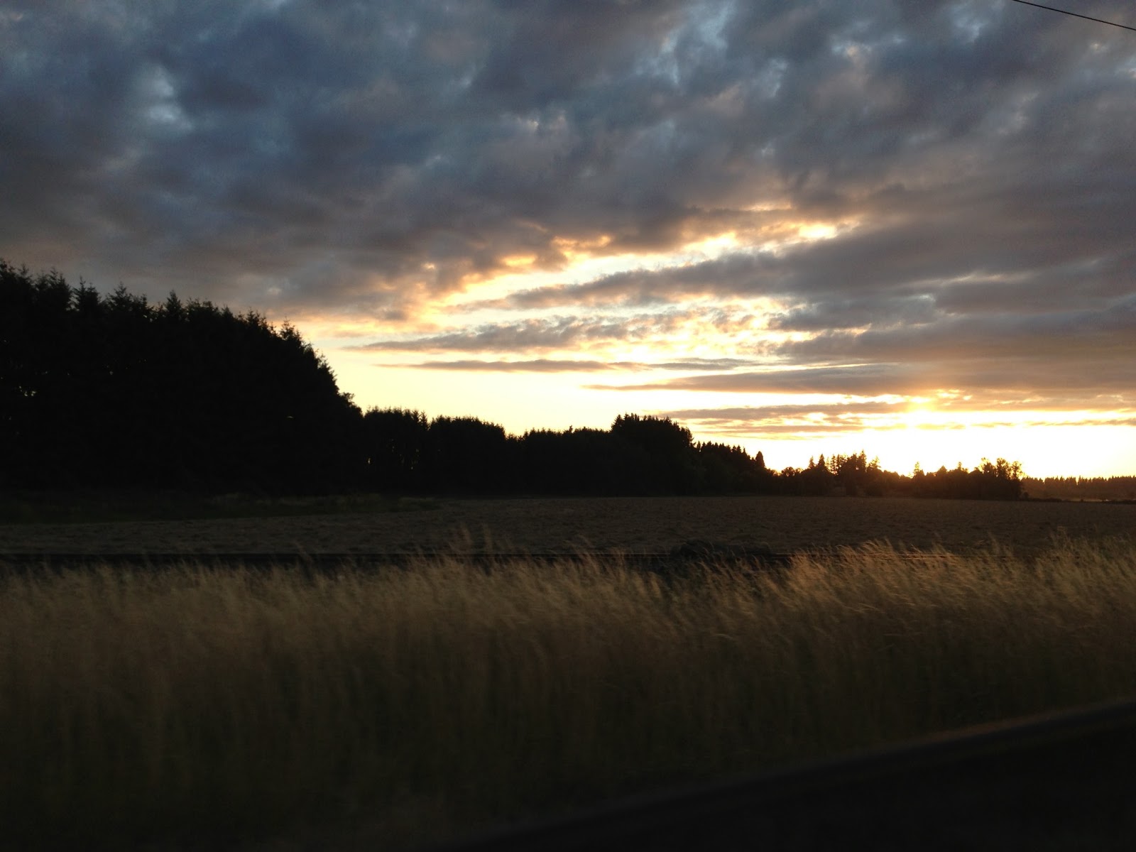My Eclectic Thoughts: Oregon Countryside... Lots of Barns, Farms and ...