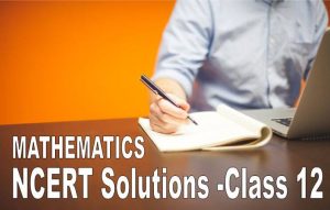 Online Classes Nagpur – Class 12th maths NCERT solutions