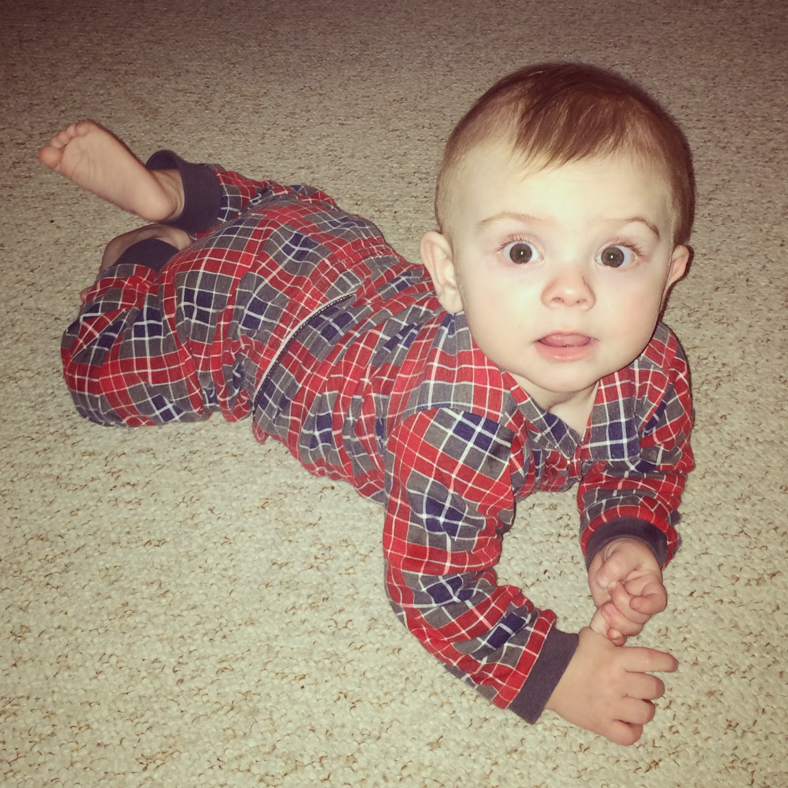 Mrs Bishop's Bakes and Banter: Bert is 7 Months Old Today! *cute baby ...