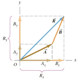 Materi fisika kelas 10 : vektor (Lengkap dengan contoh soal) | FISIKA