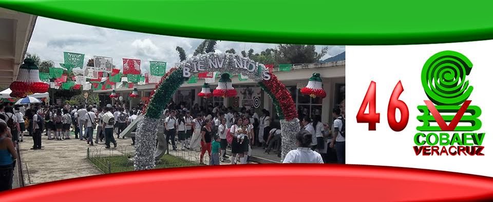 COLEGIO DE BACHILLERES DEL ESTADO DE VERACRUZ "COBAEV 46"