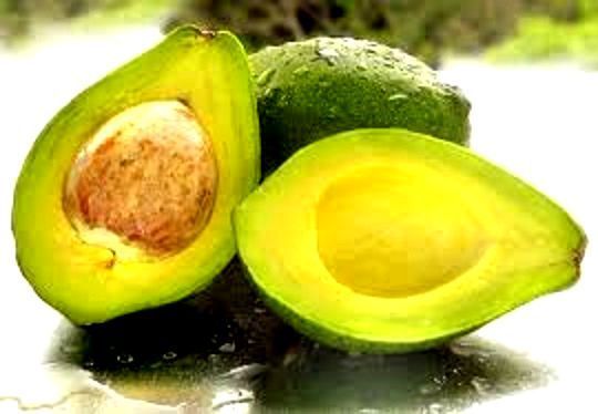 Manfaat Biji Alpukat Untuk Kesehatan ~ Obat - obatan herbal dari atom