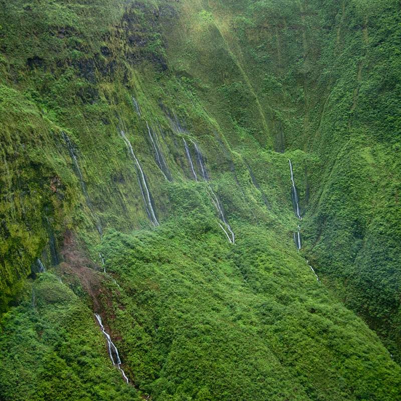 PAVAN MICKEY: Mount Waialeale, Kauai, Hawaii