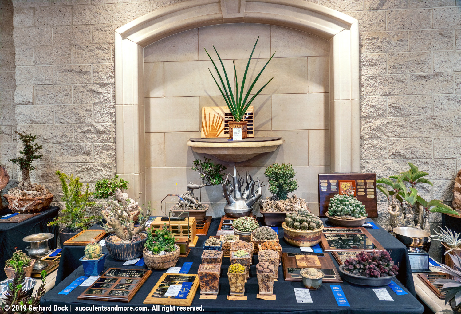 CSSA Show & Sale at the Huntington—and my plant haul