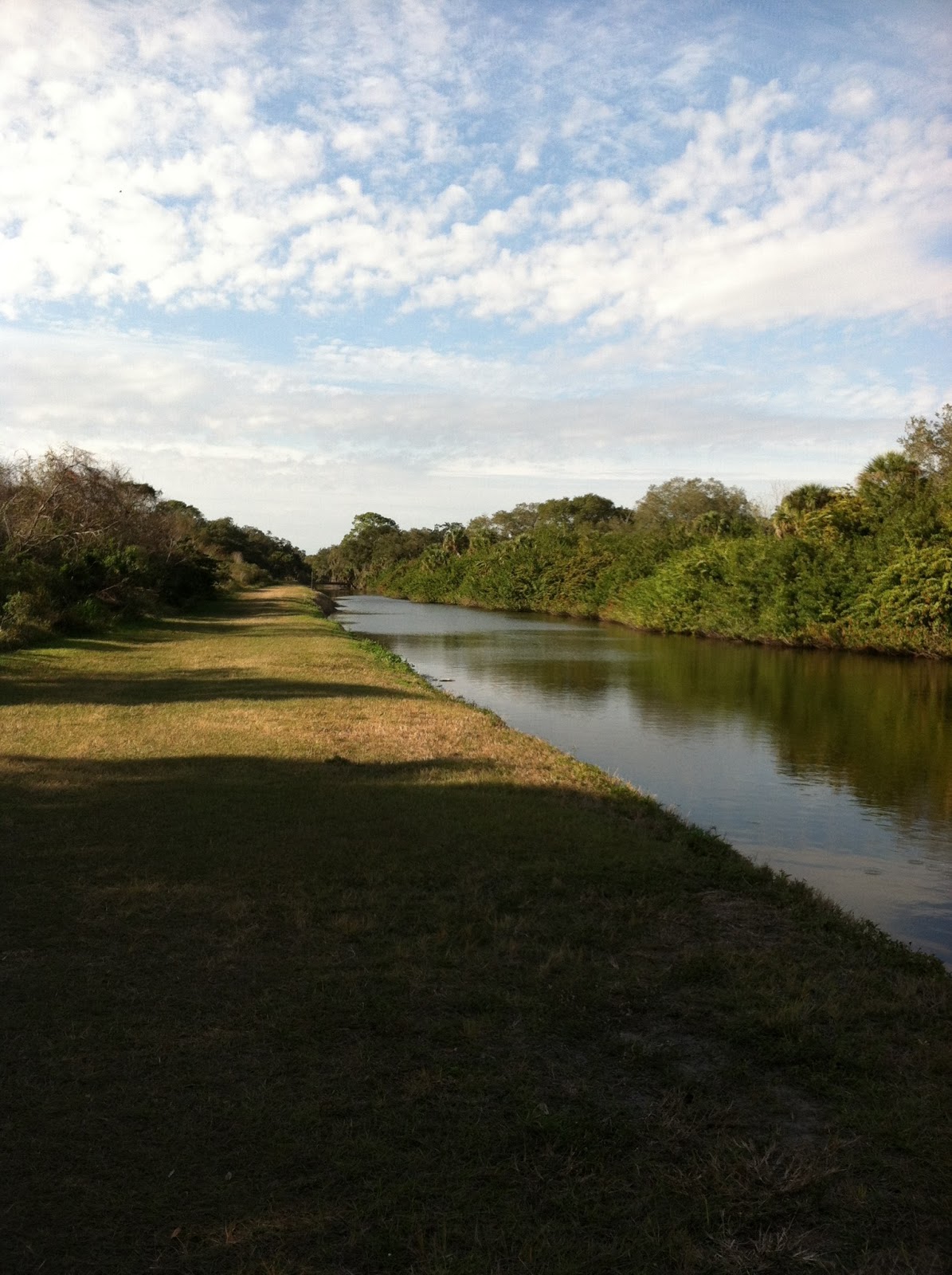 Live It Like A Local: Sarasota: A Sarasota Oasis: Red Bug Slough