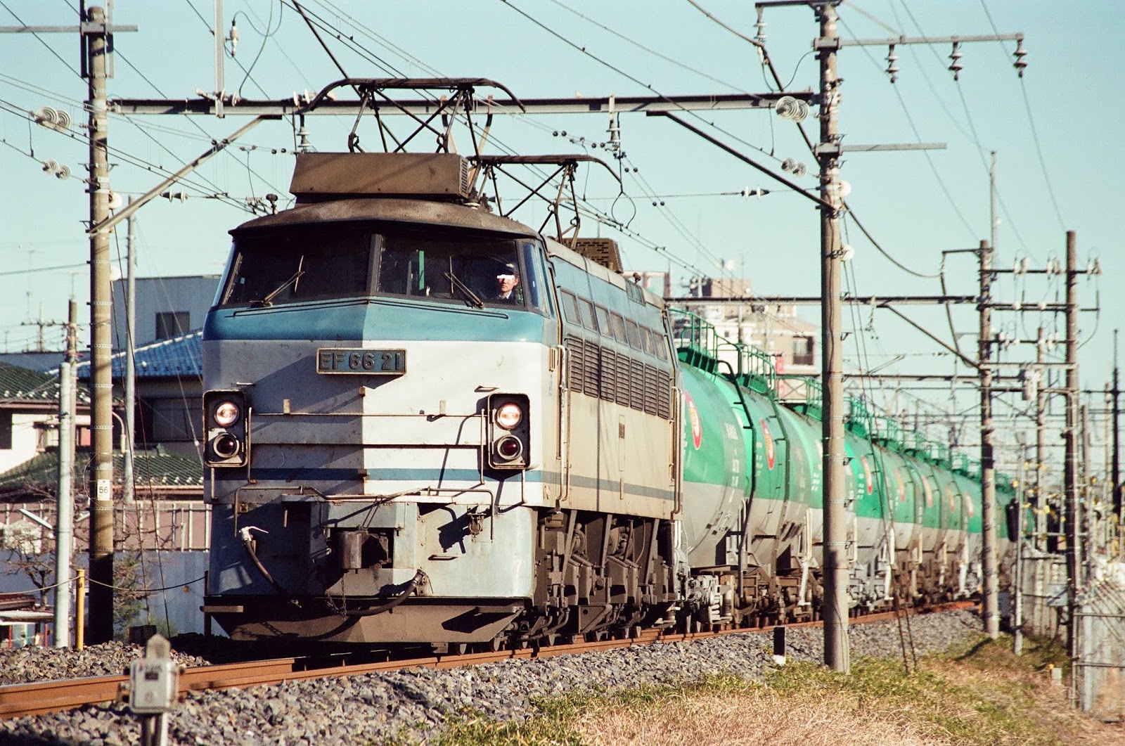 ハマちどり写真帖: ヒガハス in 2002