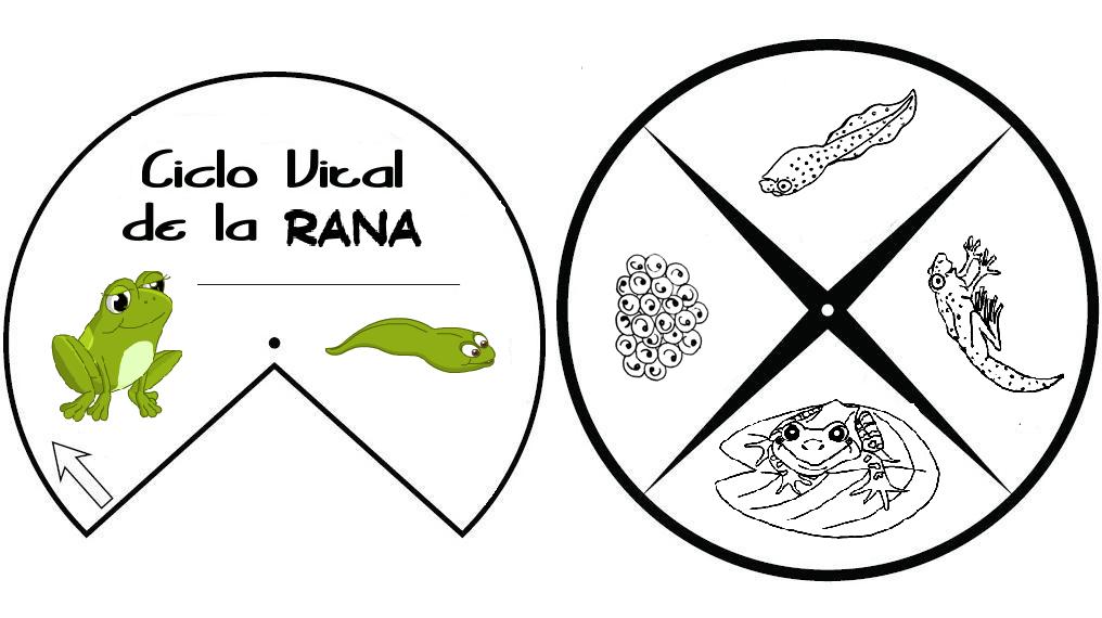 RECURSOS y ACTIVIDADES para Educación Infantil: Actividades para ...