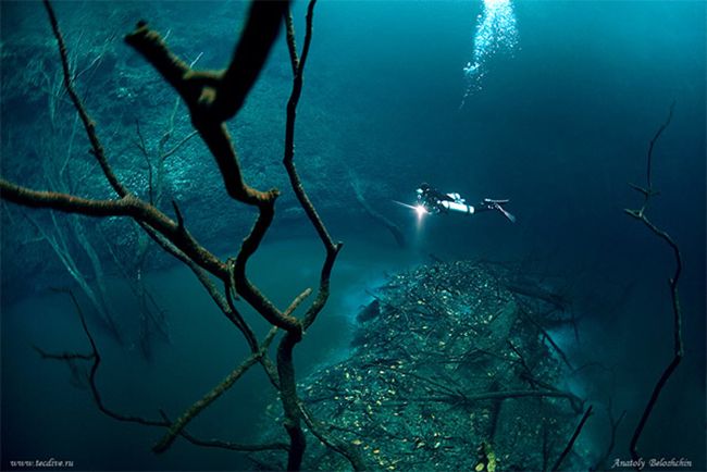 Pix Guru: Underwater River Flowing Under the Ocean in Mexico