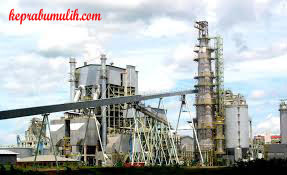 PT. TANJUNG ENIM LESTARI PULP & PAPER (TEL PP) - Prabumulih