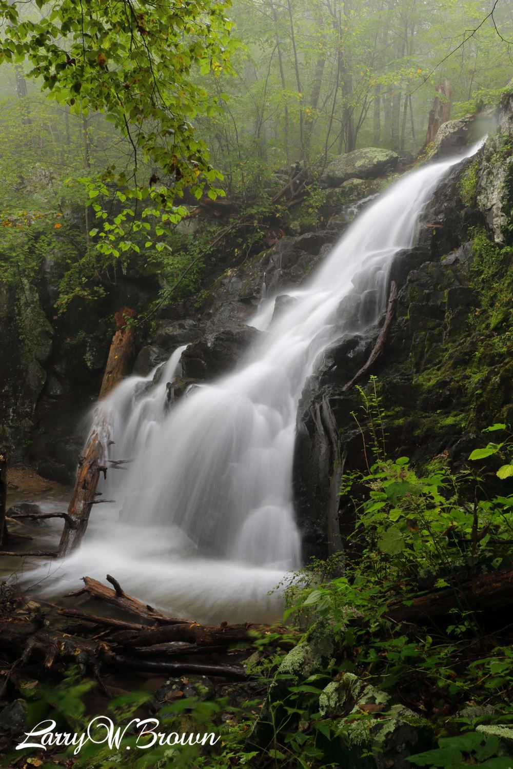 Shenandoah National Park Waterfalls Guide: Overall Run Falls