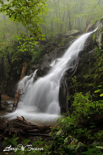 Shenandoah National Park Waterfalls Guide: Overall Run Falls