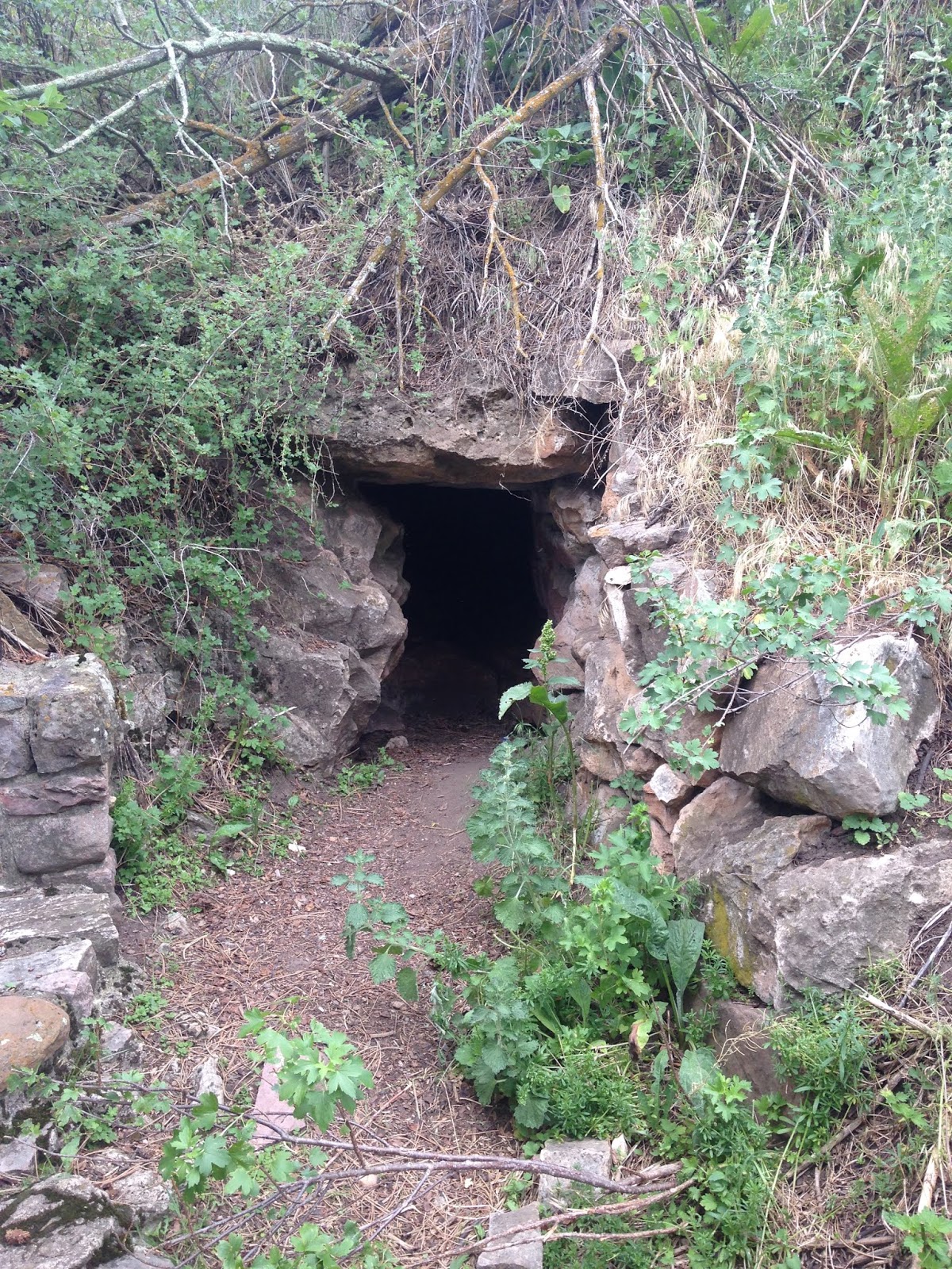 2016 Summer Mountain Trip Part 4; Wind Cave National Park