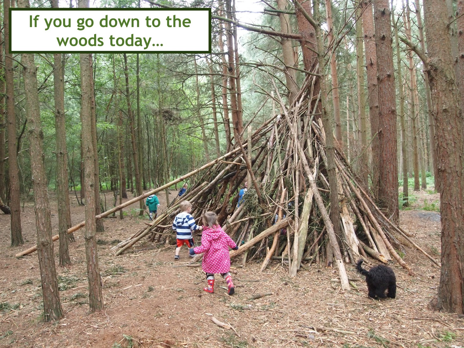Mrs Bishop's Bakes and Banter: A Picnic in Rushmere Country Park with ...