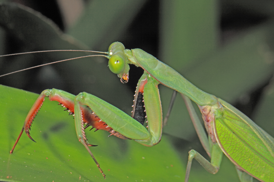 BunyipCo: Signs of Autumn