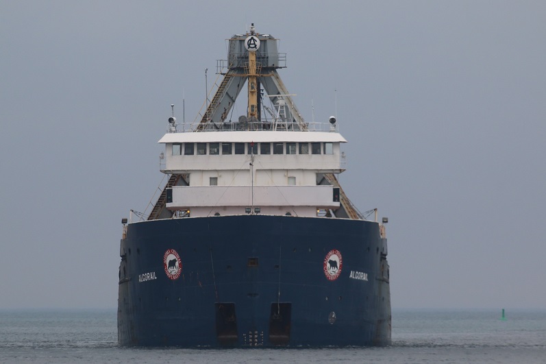 Michigan Exposures: And the Algorail