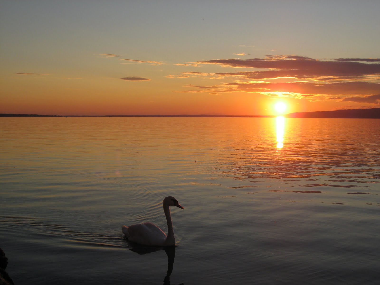 k o n y h a t ú r a: Naplemente