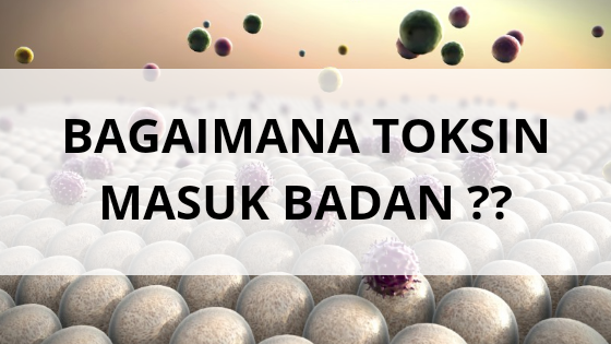 Ketahui 5 Cara Toksin Masuk Ke Dalam Badan Yang Ramai Tak Tahu