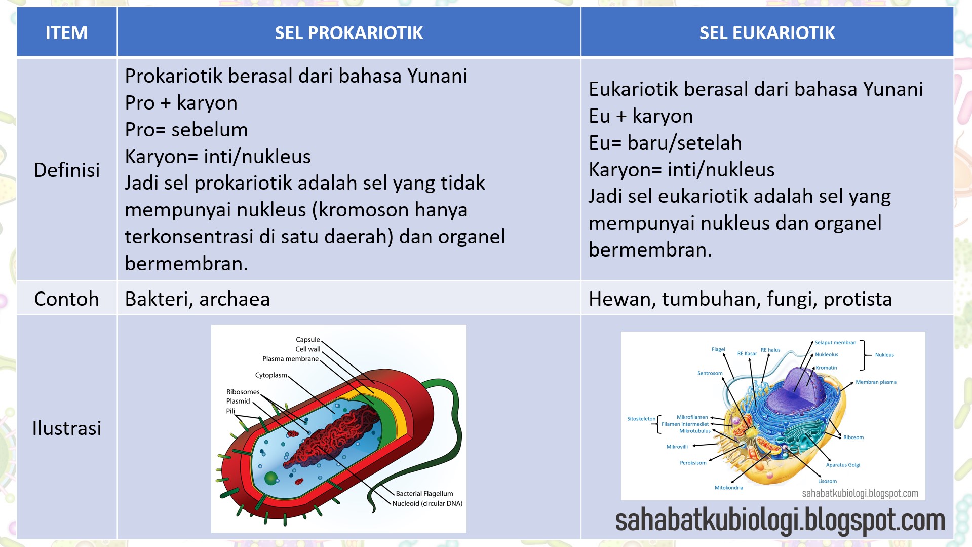 Perbedaan Sel Prokariotik dan Eukariotik