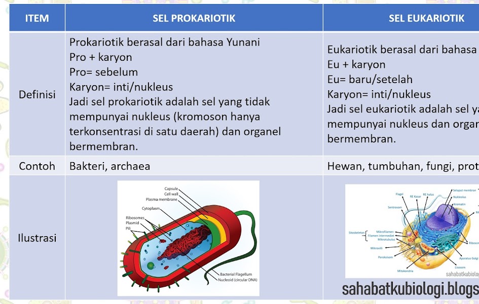 SAHABATKU BIOLOGI