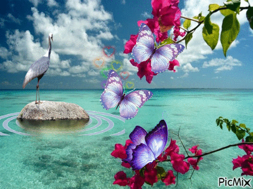 Beautiful colorful pictures and Gifs