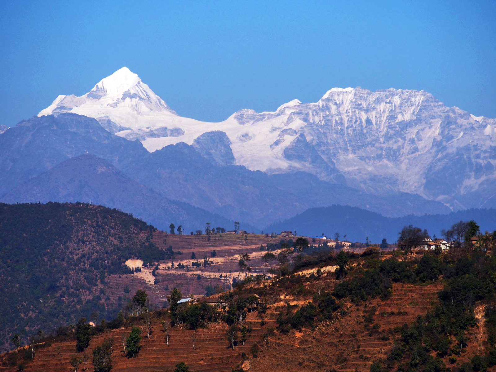 SHARE TWEET TELEGRAM WHATSAPP PIN IT SHARE