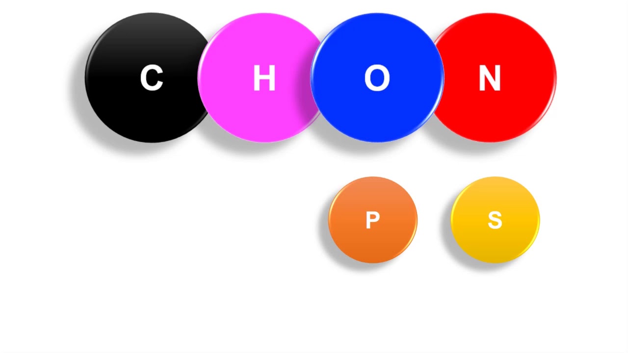 LA QUÍMICA EN LA VIDA: CHON Y SUS AMIGOS