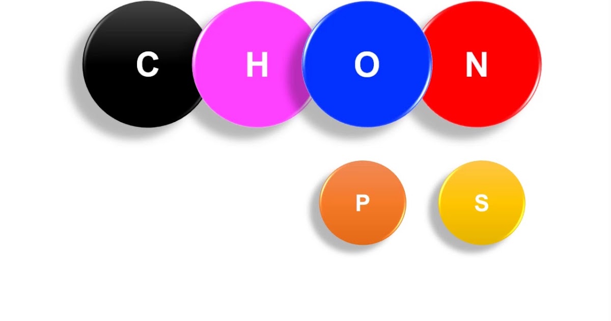 LA QUÍMICA EN LA VIDA: CHON Y SUS AMIGOS
