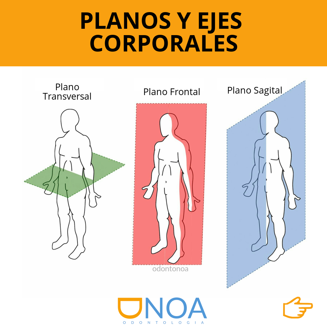 PLANOS Y EJES CORPORALES