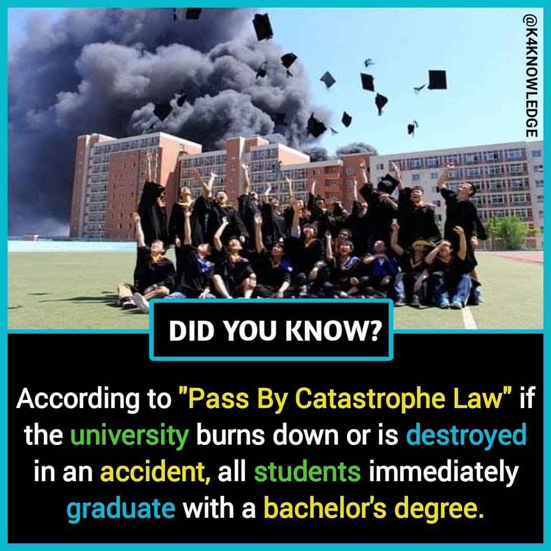 [40+] Amazing Facts, Interesting Facts