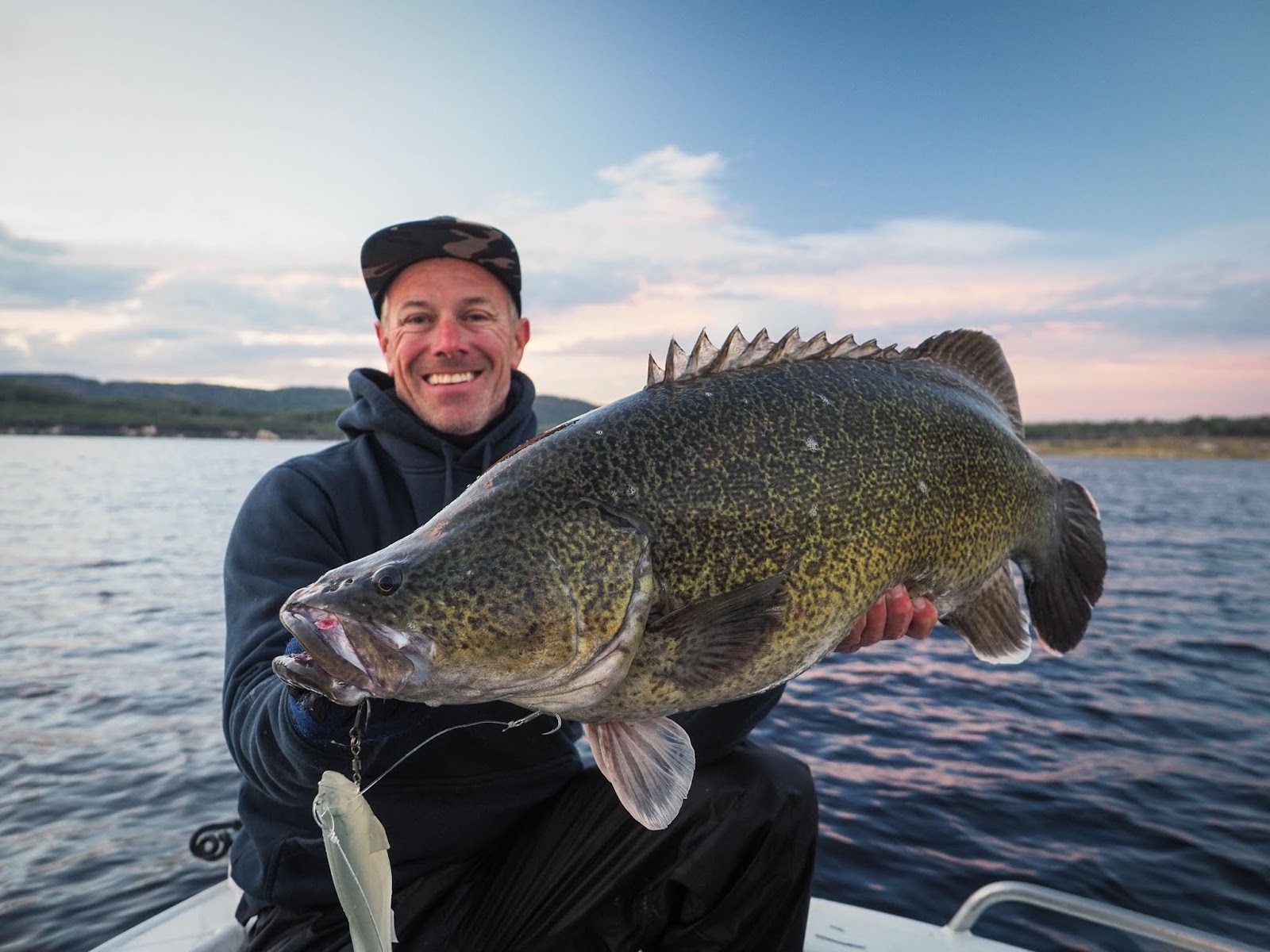 EBB TIDE TACKLE - The BLOG: Megabass Magdraft - our favorite soft ...