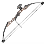 7 Important FAQs About a Crossbow
