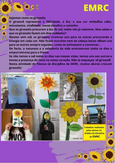 Blog EMRC: Sejamos como os girassóis - Newsletter AEDC