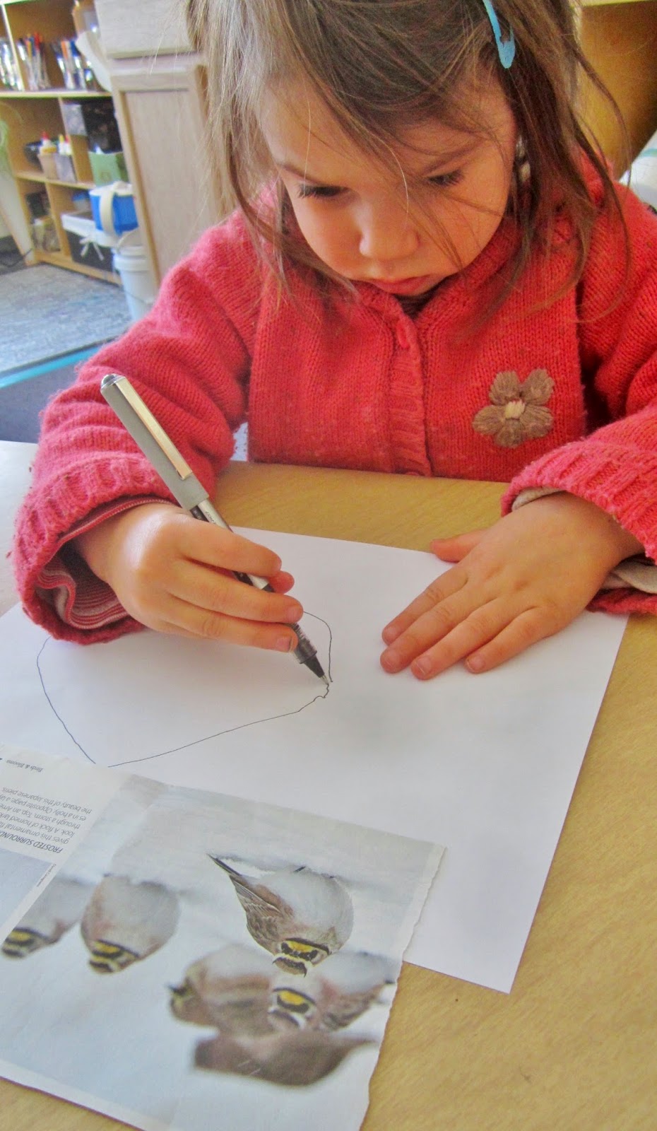 art and soul preschool: Birds of a Feather