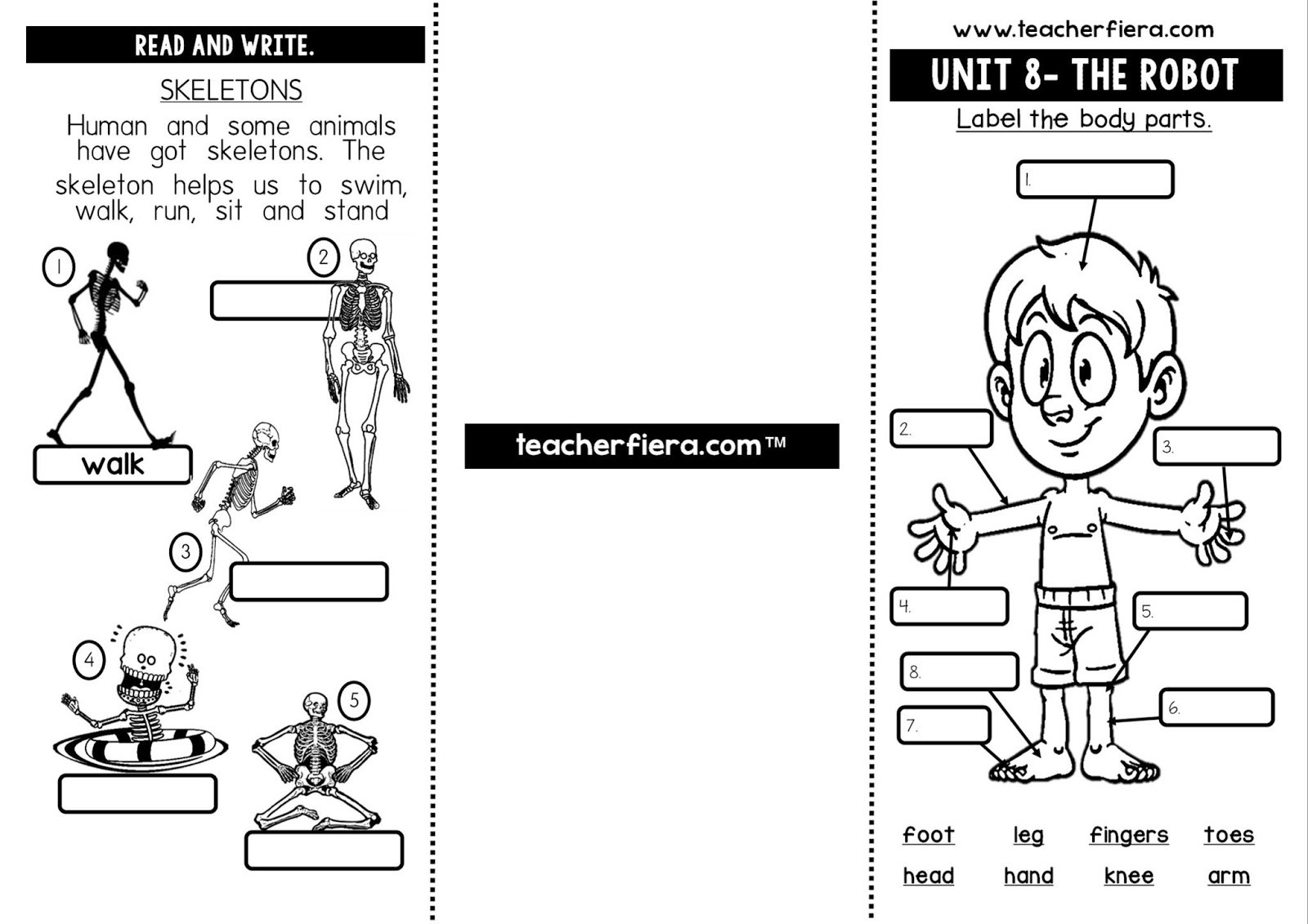 teacherfiera.com: YEAR 2 UNIT 8 BROCHURE